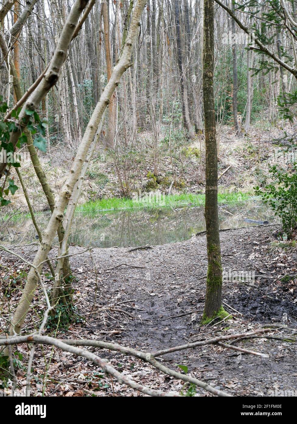 Hayes and Keston Commons, Kent, England Stock Photo - Alamy