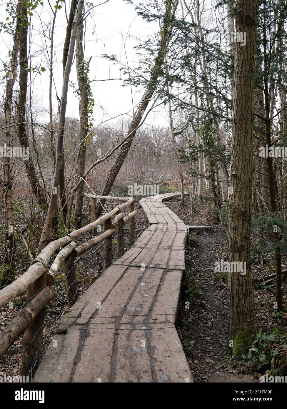 Hayes and Keston Commons, Kent, England Stock Photo - Alamy