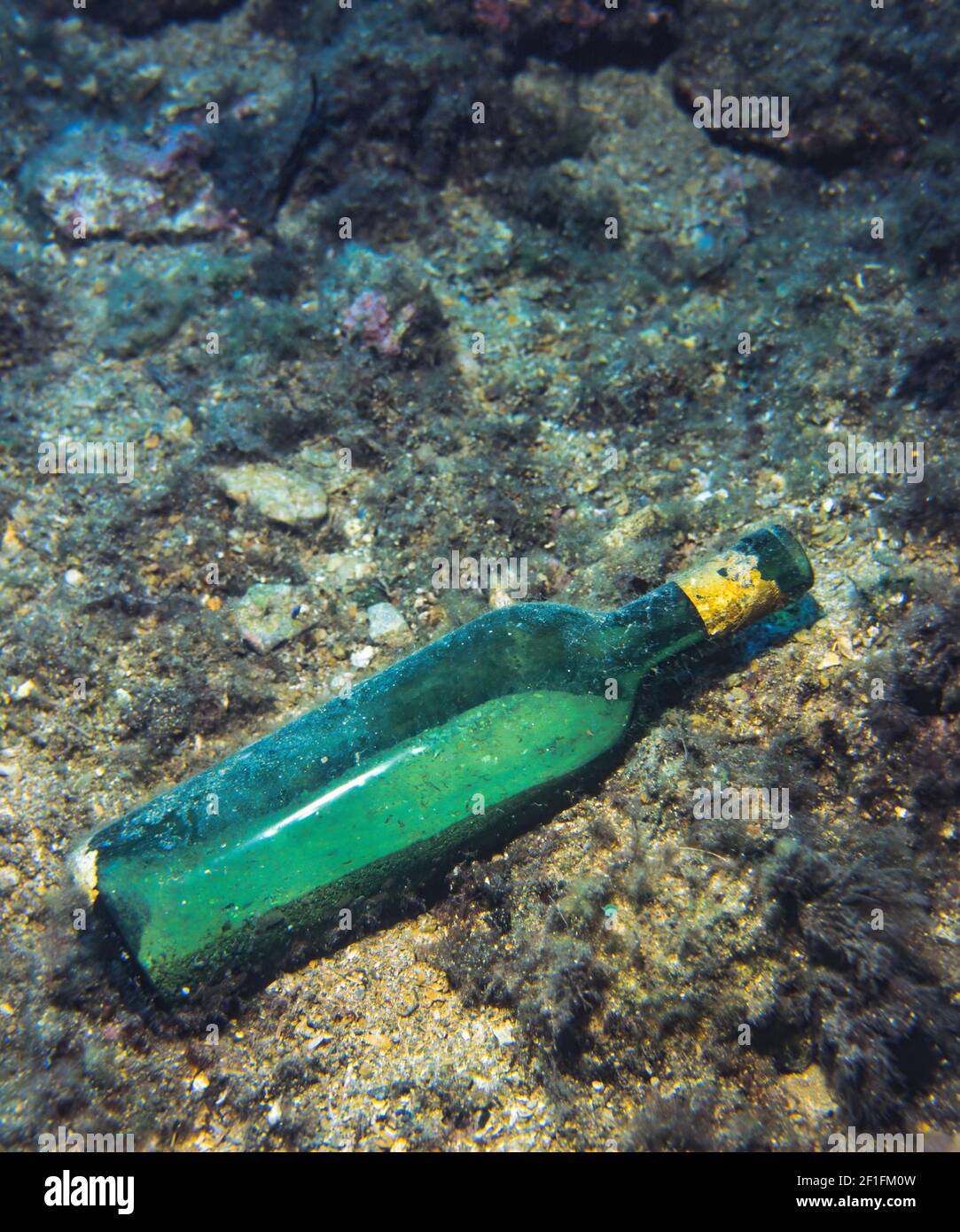 Marine Litter High Resolution Stock Photography and Images - Alamy