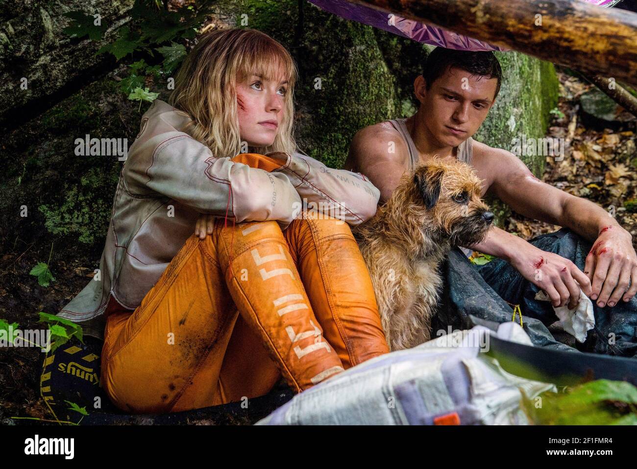 CHAOS WALKING, from left: Daisy Ridley, Manchee, Tom Holland, 2021. ph ...