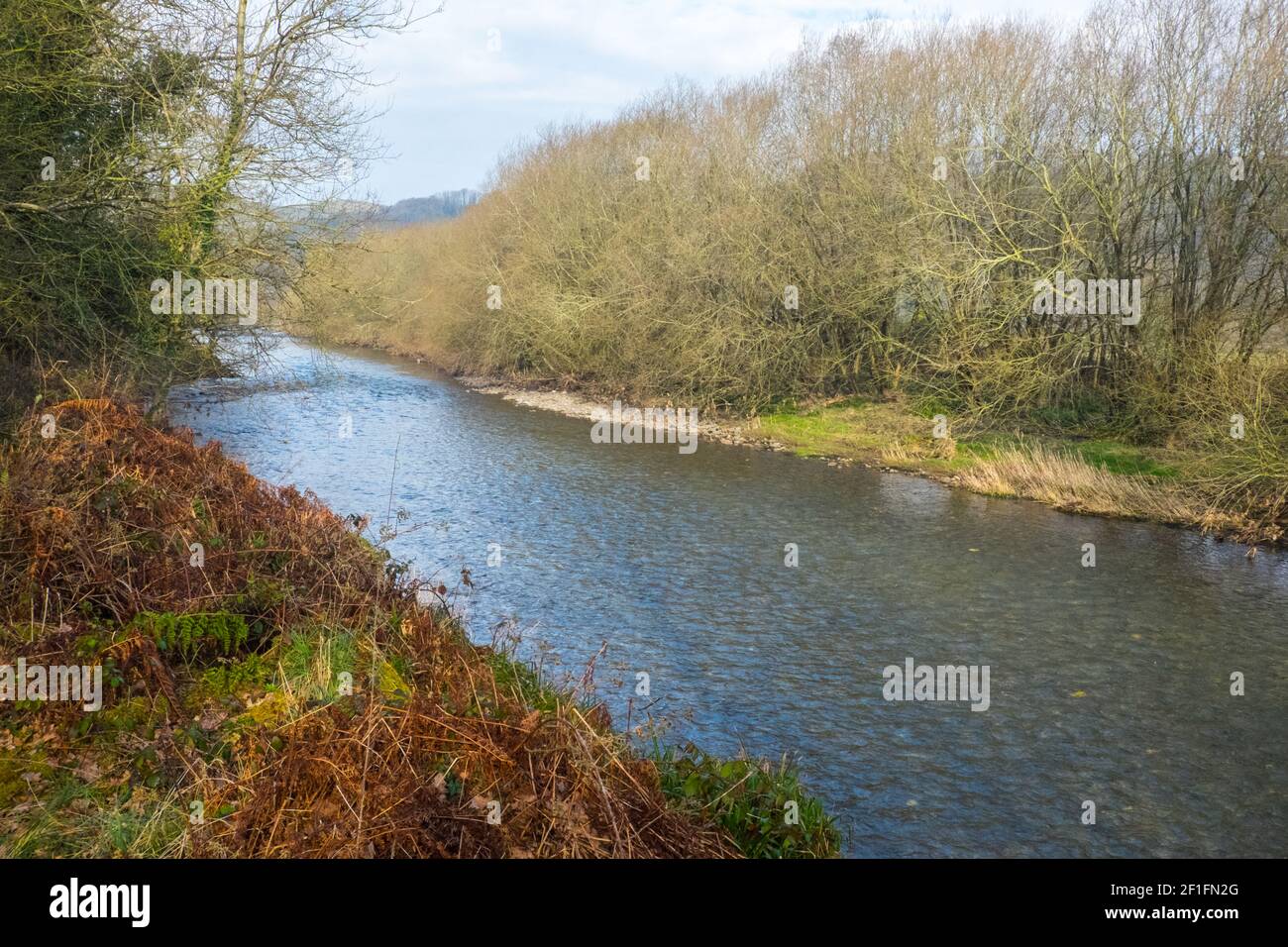The Ystwyth Trail,a 21 mile,34 kilometer,multi-use trail,used, by dog ...