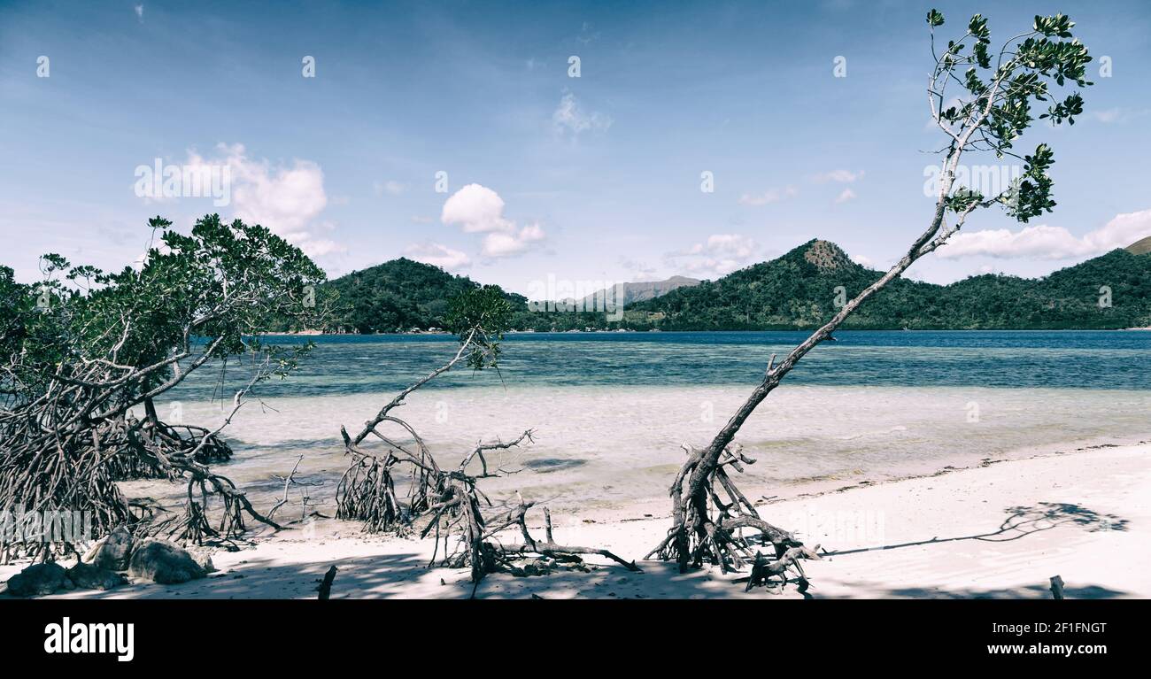 In the beautiful island cosatline and tree Stock Photo - Alamy