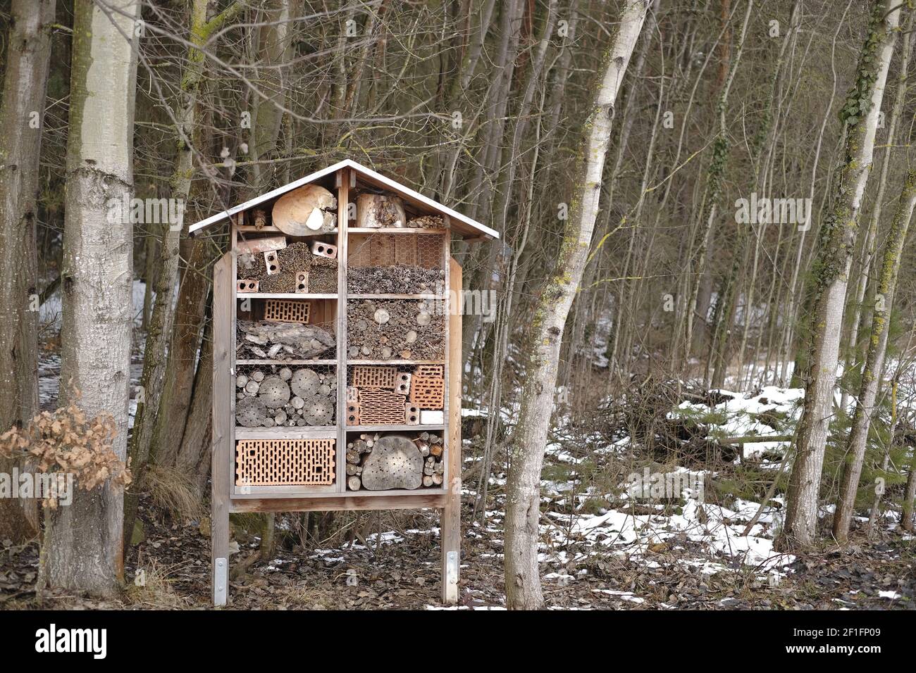 Insect House in the Spring Forest.Ecology and nature conservation ...