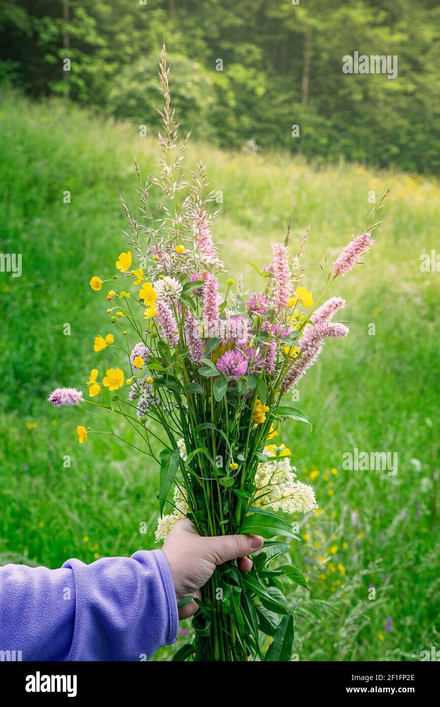 bunch of flowers collected in the countryside Stock Photo - Alamy