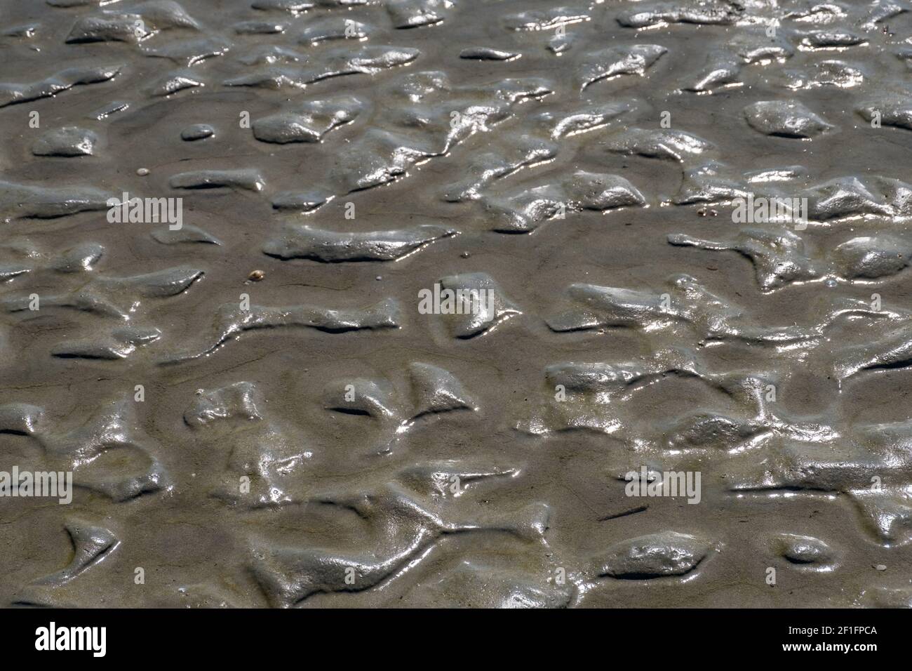 Shining effect on natural sand texture at low tide Stock Photo - Alamy