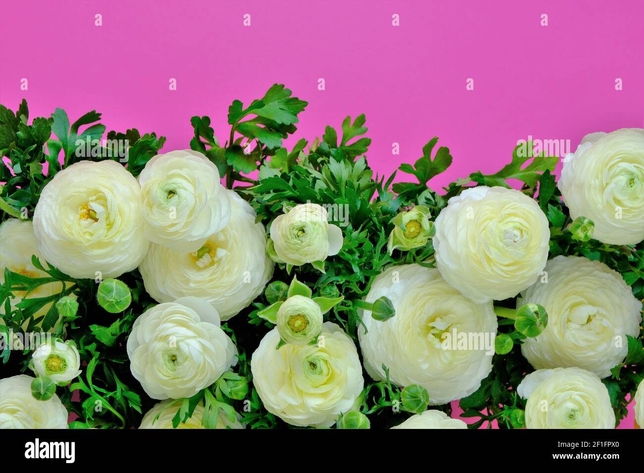 All colors are beautiful hi-res stock photography and images - Alamy