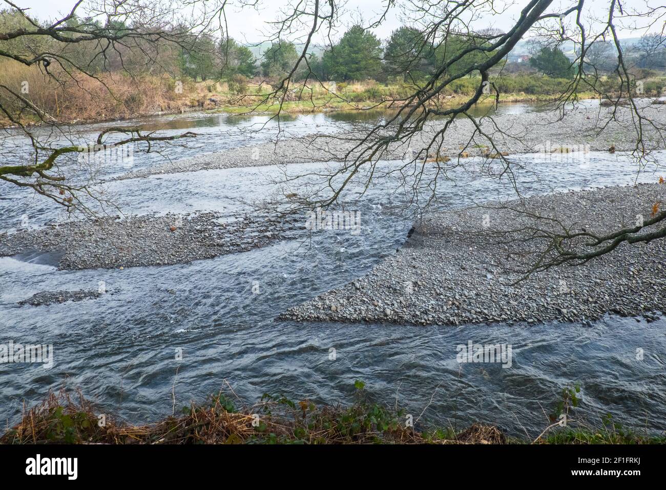 The Ystwyth Trail,a 21 mile,34 kilometer,multi-use trail,used, by dog ...
