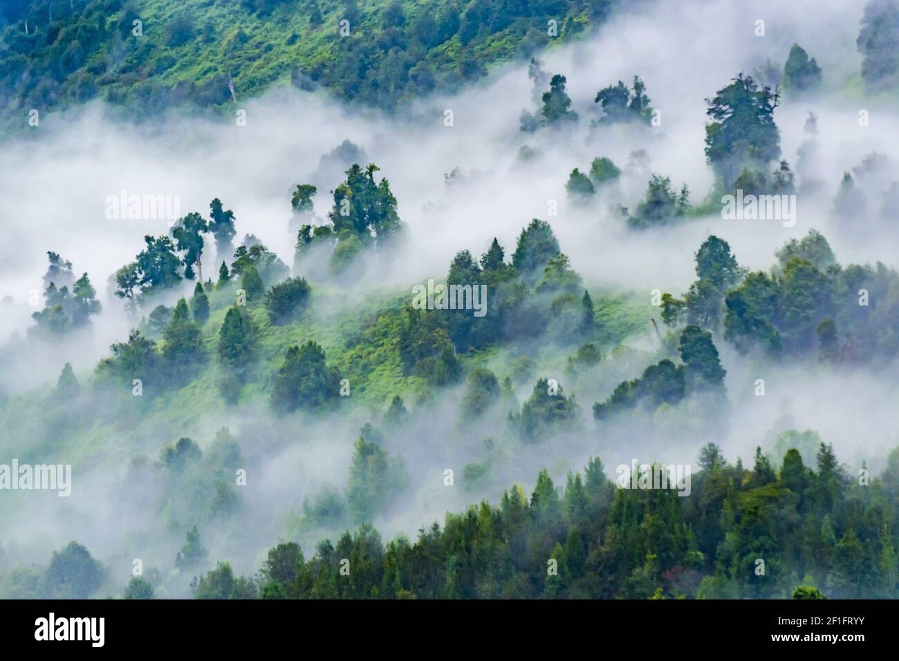 Puyuhuapi chile hi-res stock photography and images - Alamy