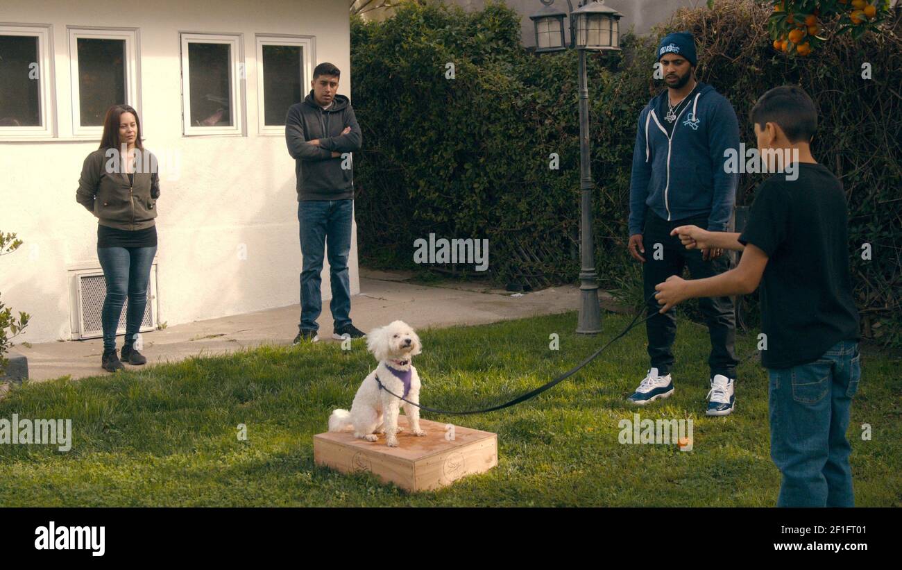 CANINE INTERVENTION, from left: Sylvia (left), Jas Leverette (right ...