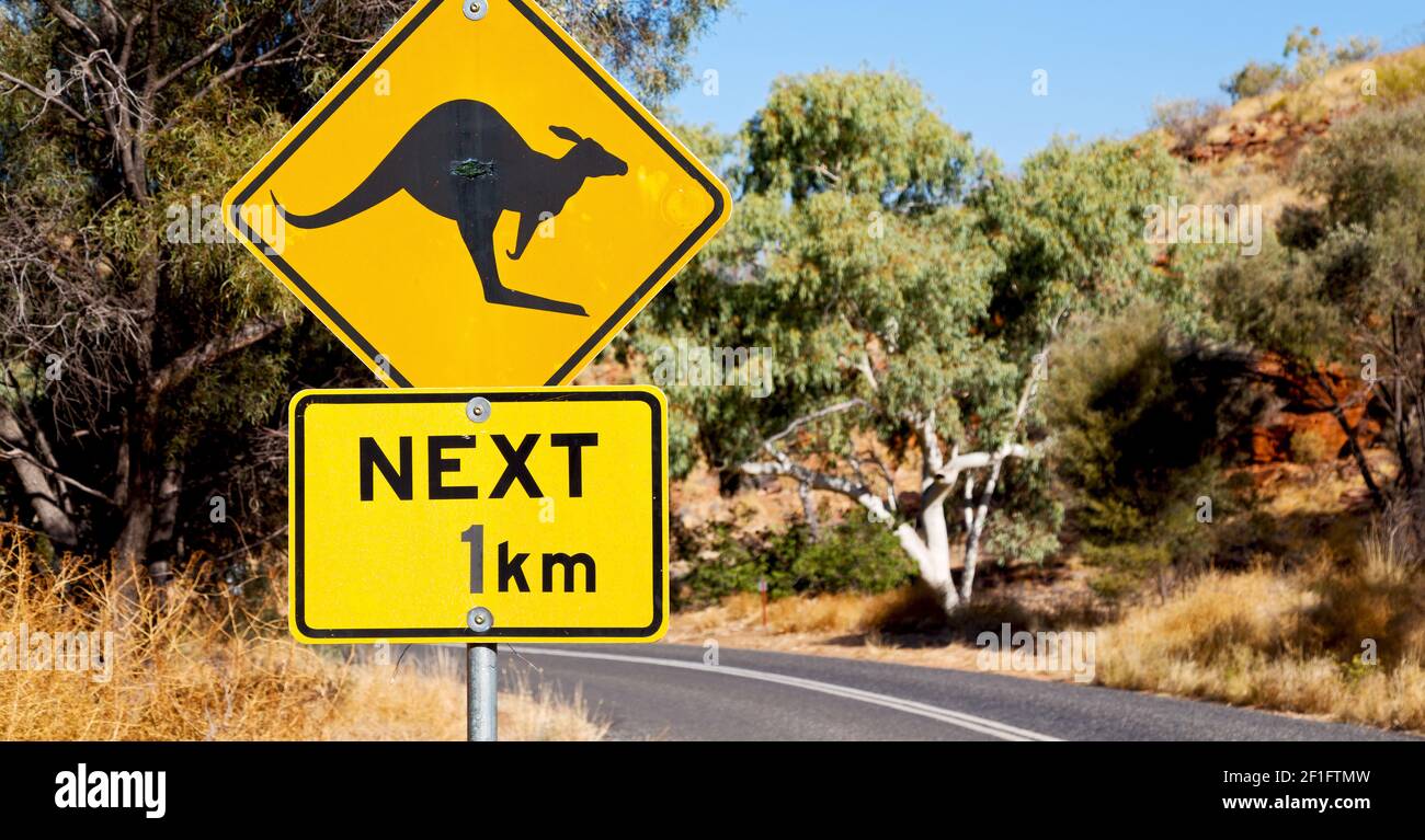 Beware of kangaroo crossing road sign hi-res stock photography and ...