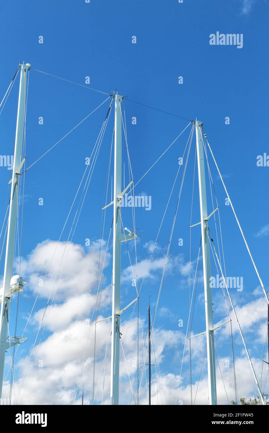 The concept of navigation with sail tree Stock Photo - Alamy