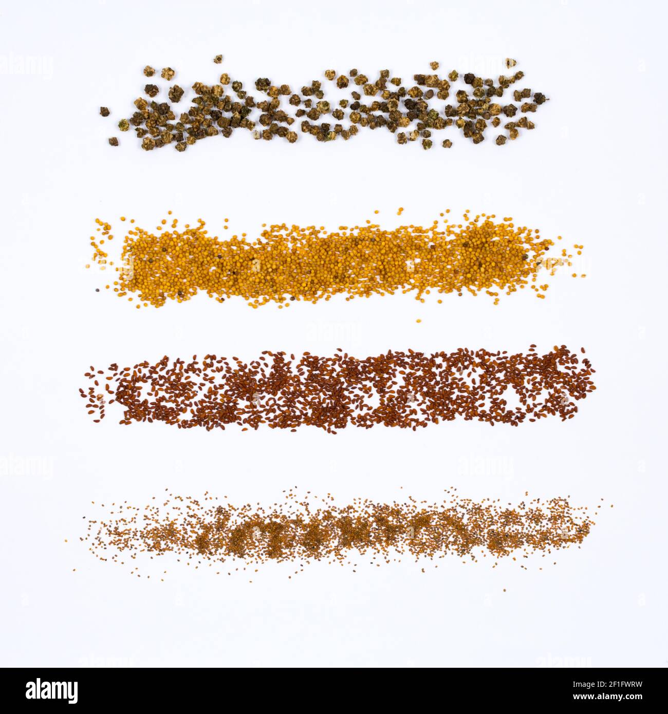 Seeds scattered on a white table top to bottom frame. Seeds of micro ...