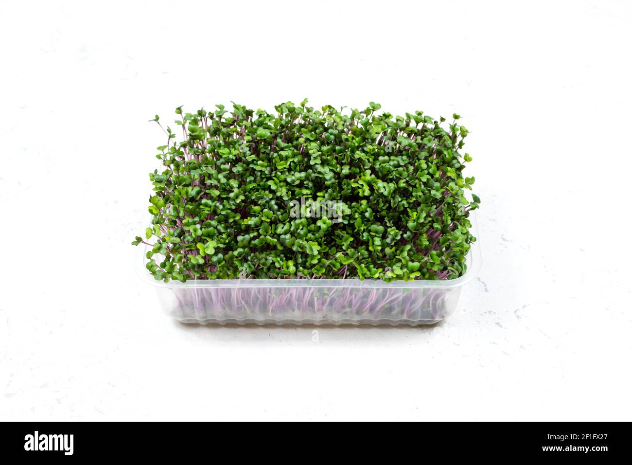 Fresh organic microgreens in a plastic container on a white background ...