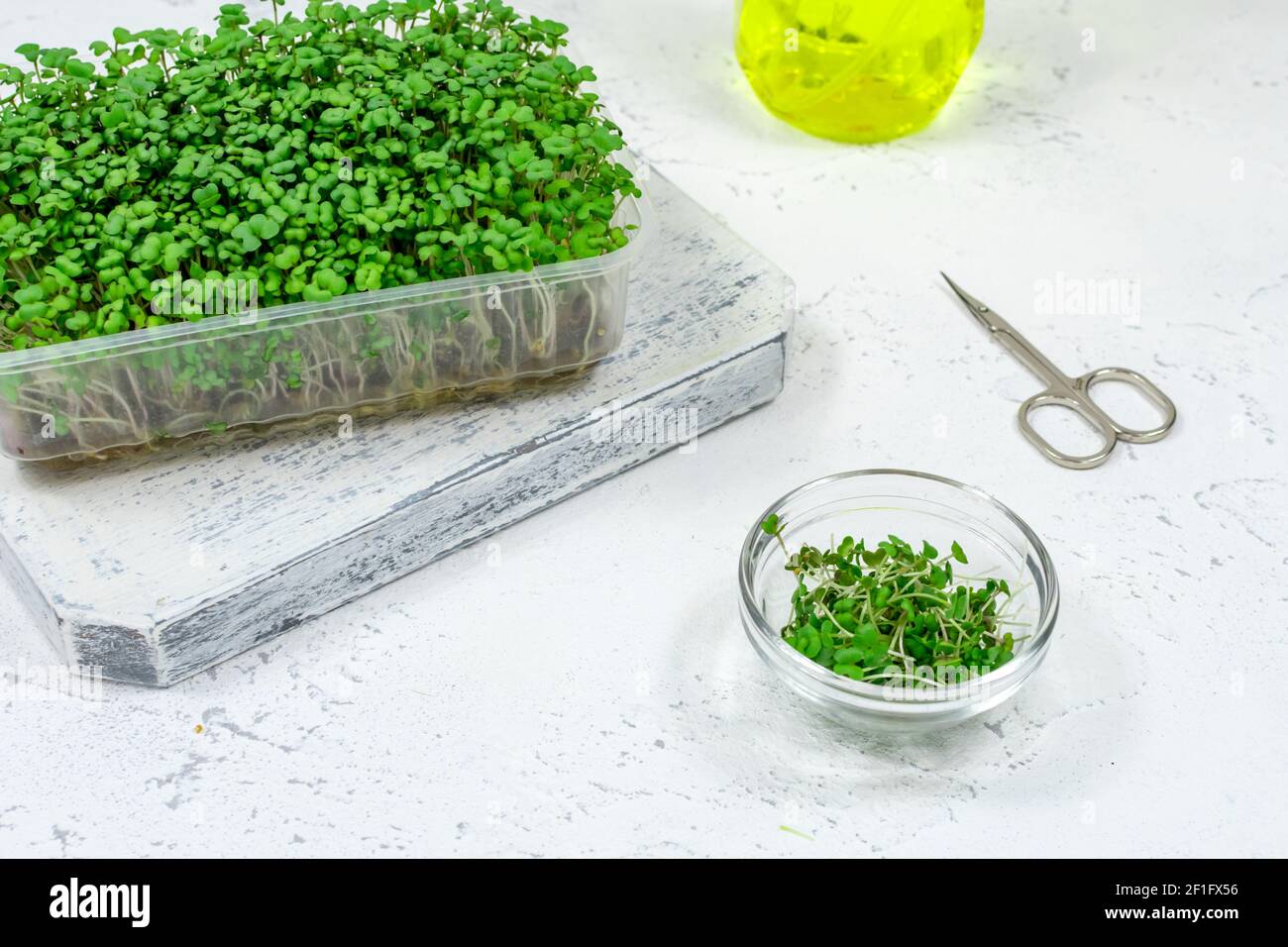 Green fresh mustard grass hi-res stock photography and images - Alamy