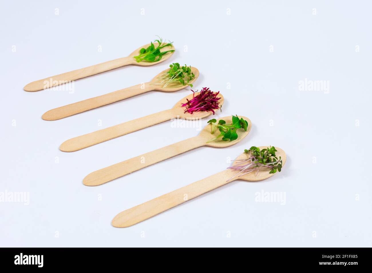 Micro greens of peas, red cabbage, amaranth, mustard, radish in ...