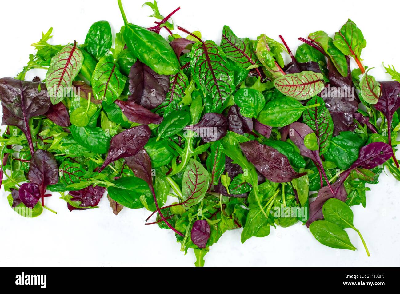 Green Radicchio