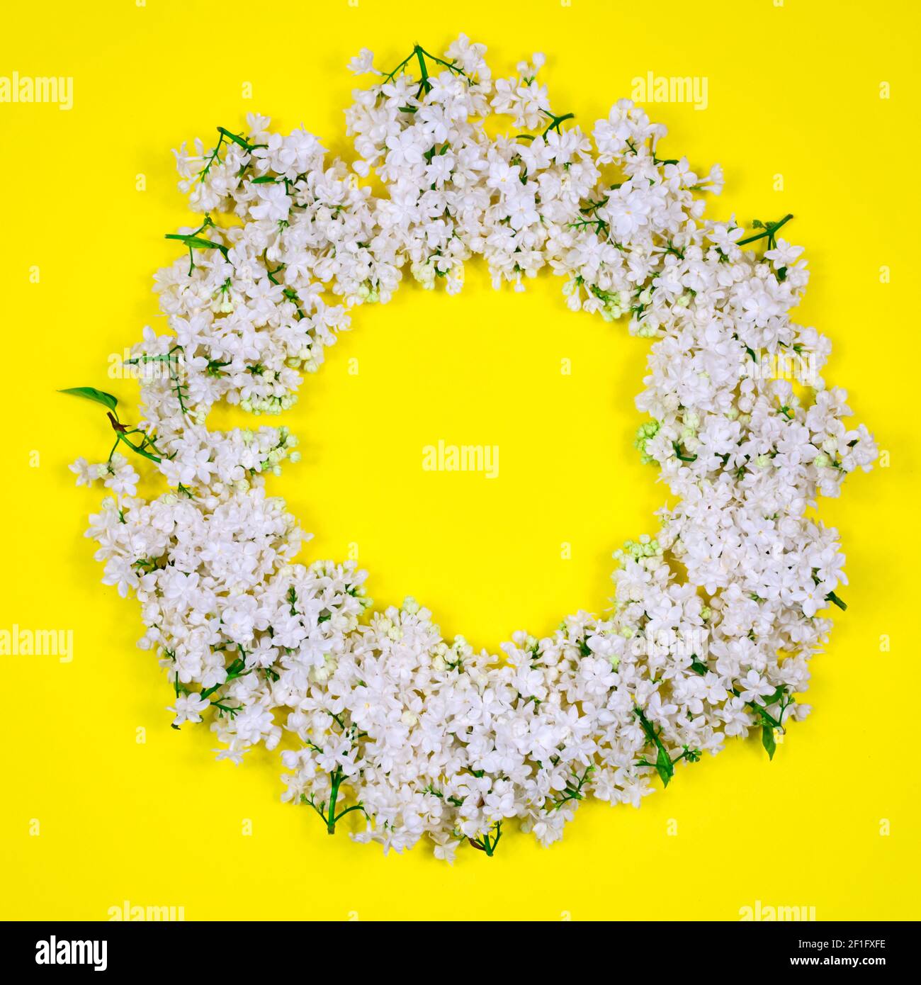 Circle of white lilac flowers on a yellow background. Minimal floral ...