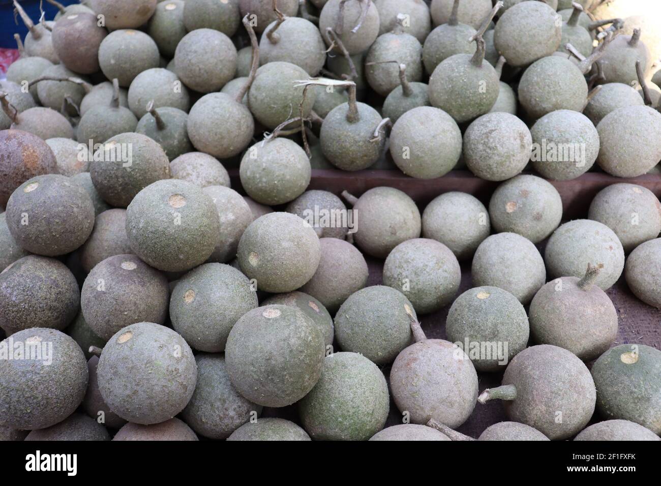 Feronia limonia swingle hi-res stock photography and images - Alamy