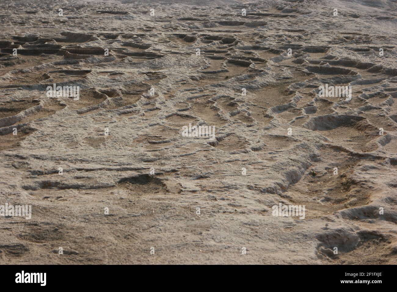 Detail of limestone travertine at Pamukkale, Turkey Stock Photo - Alamy