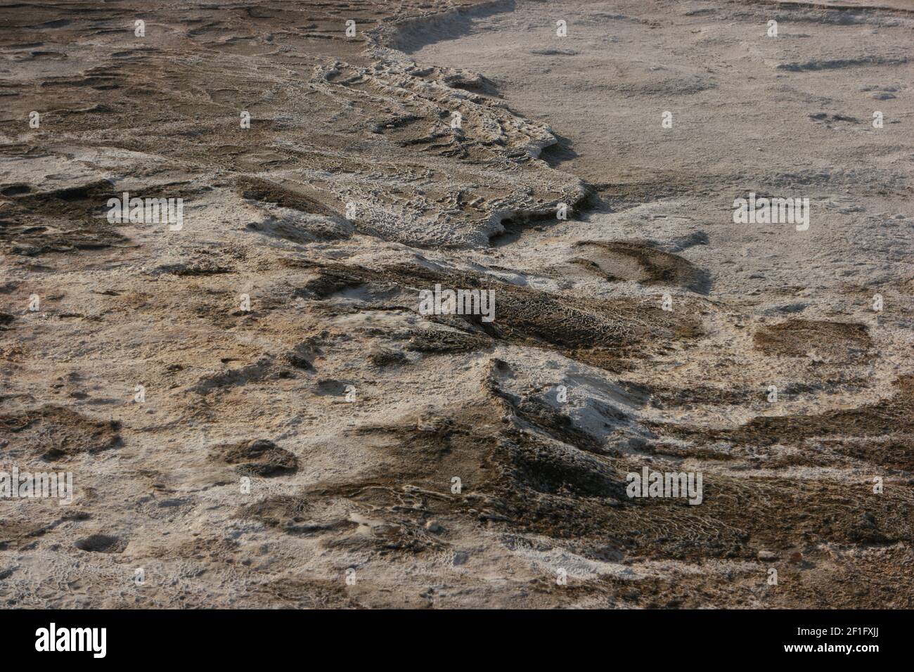 Travertine terrace surface texture Stock Photo - Alamy