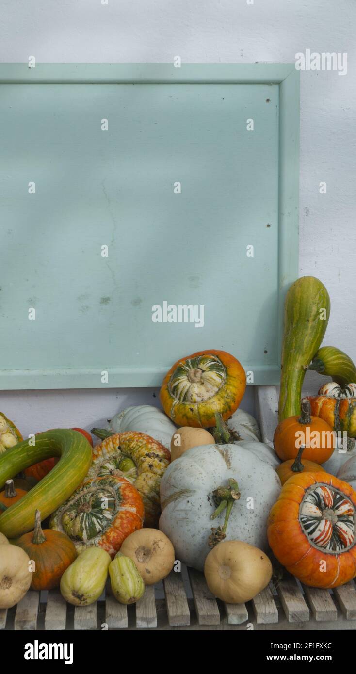 Pile of assorted squash Stock Photo - Alamy