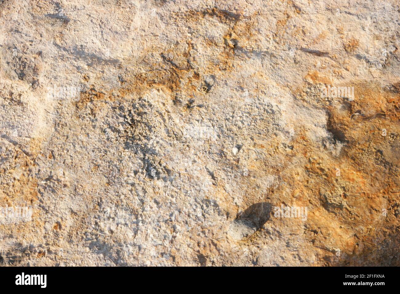 Calcium carbonate deposits close up hi-res stock photography and images ...