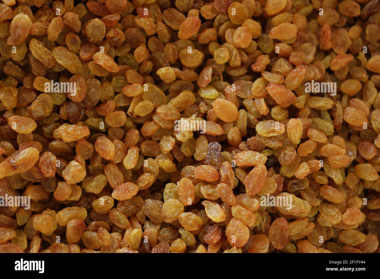 Raisin farming hi-res stock photography and images - Alamy