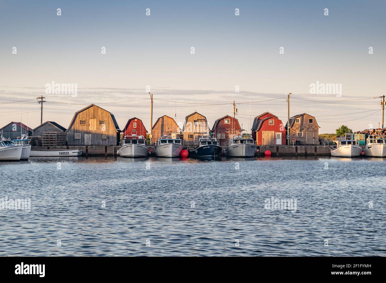 Malpeque Oyster Harbour Stock Photo - Alamy