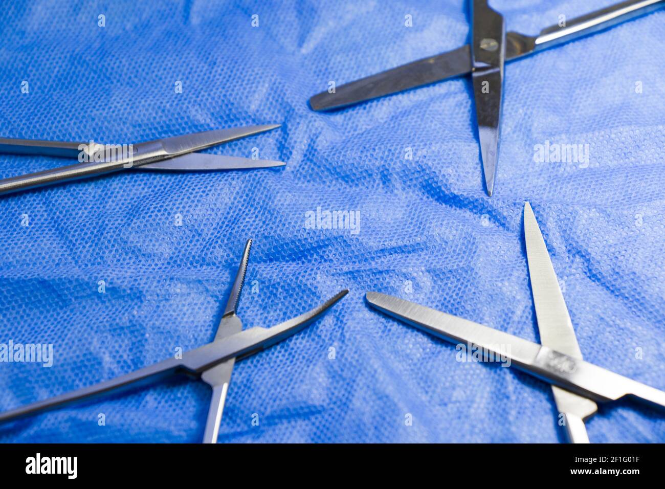 Dissection kit hi-res stock photography and images - Alamy