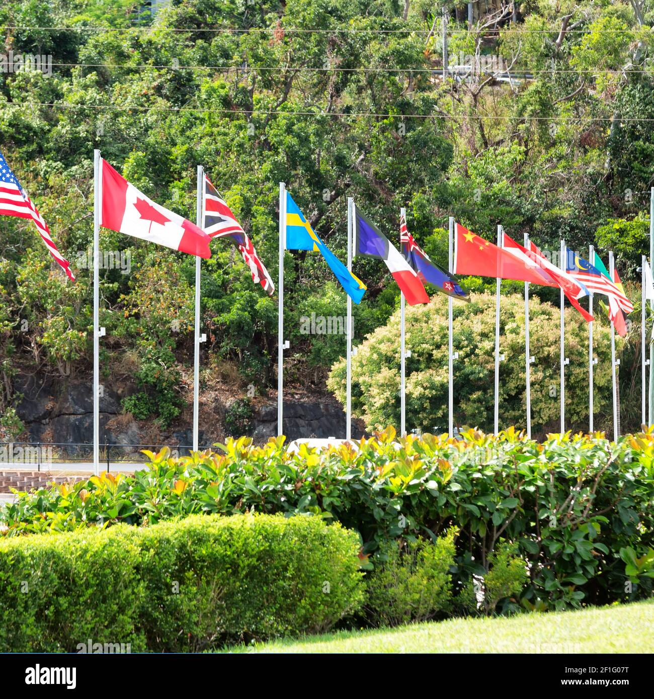 In the park bear tree lots of world flag Stock Photo - Alamy