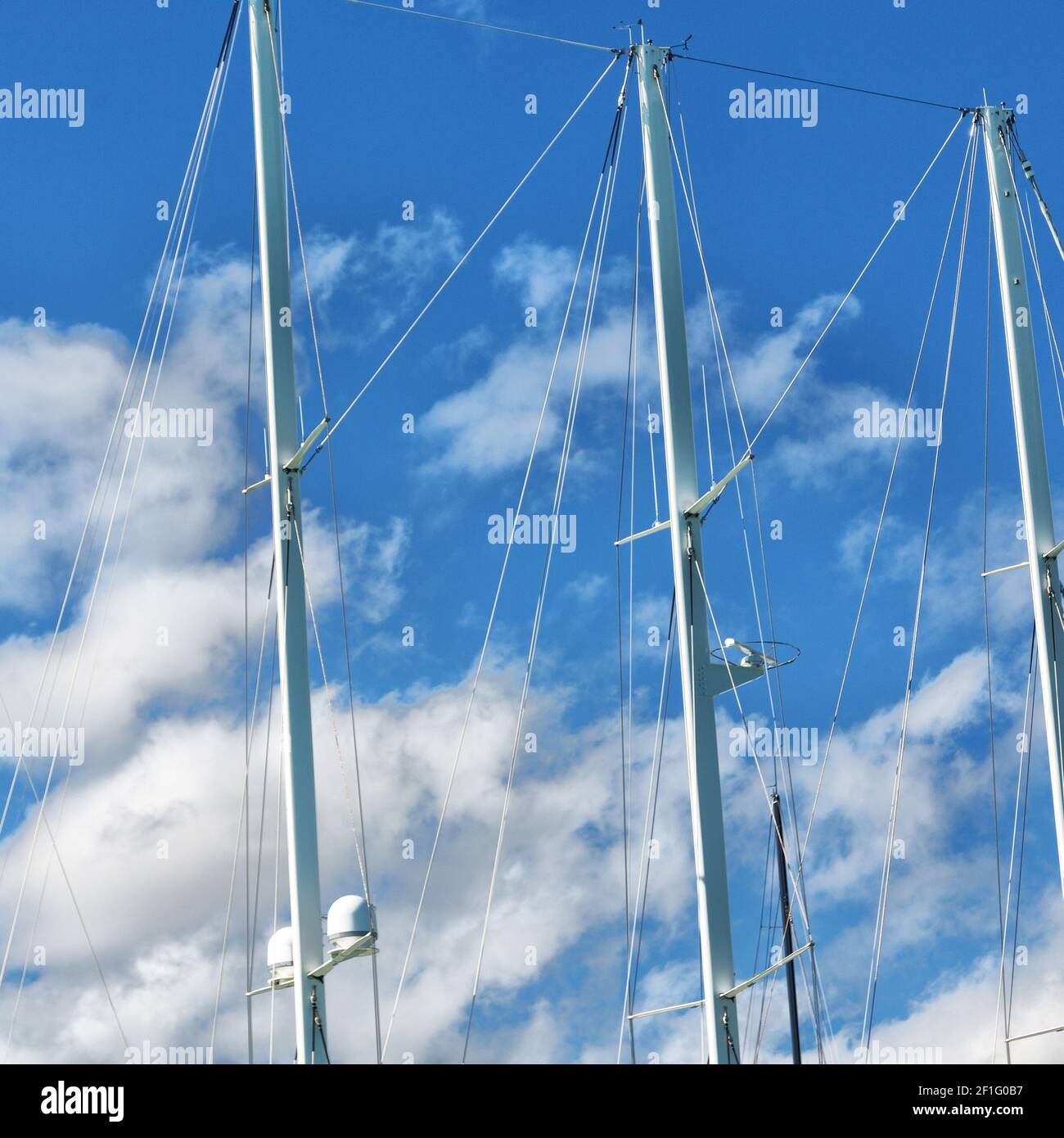 The concept of navigation with sail tree Stock Photo - Alamy