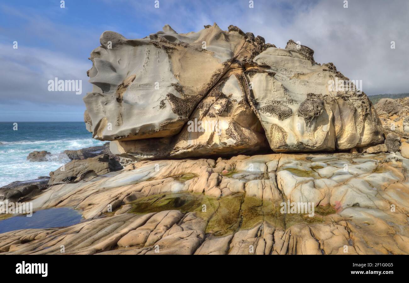 Tafoni formation, Salt Point State Park, Sonoma County, California ...