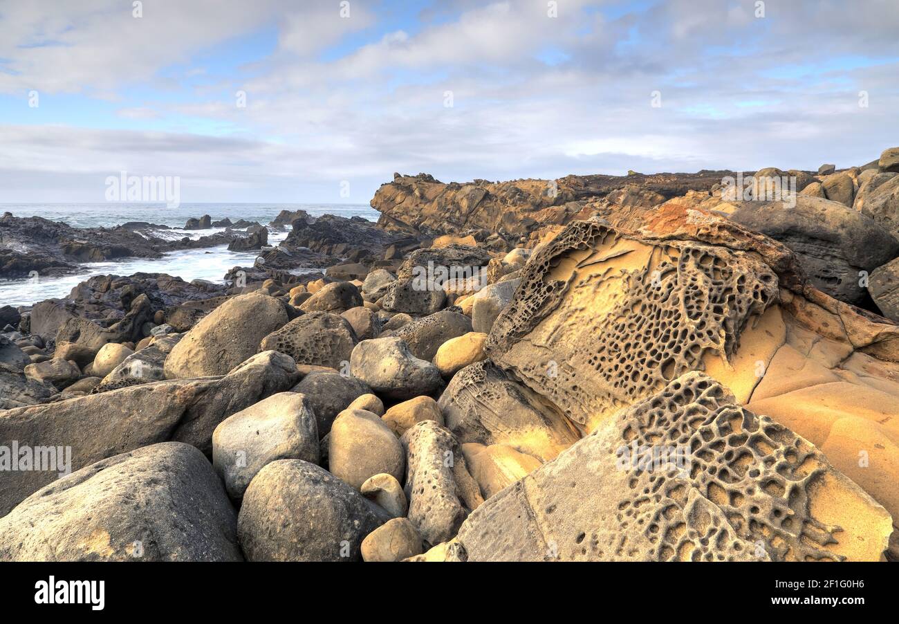 Salt point state park hi-res stock photography and images - Alamy
