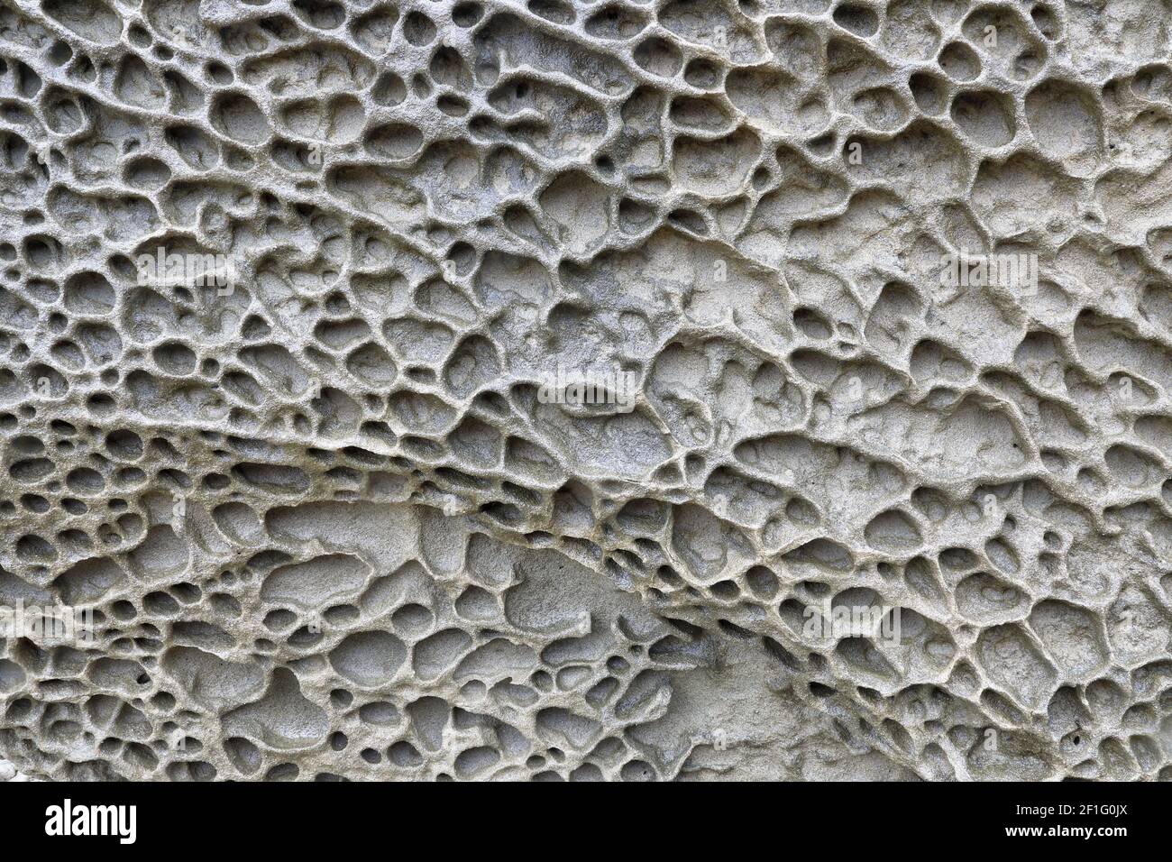 Detail of tafoni sandstone rock formation, Salt Point State Park ...