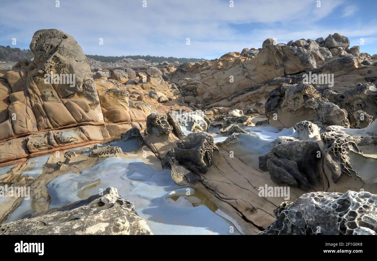 Salt point state park sonoma county hi-res stock photography and images ...