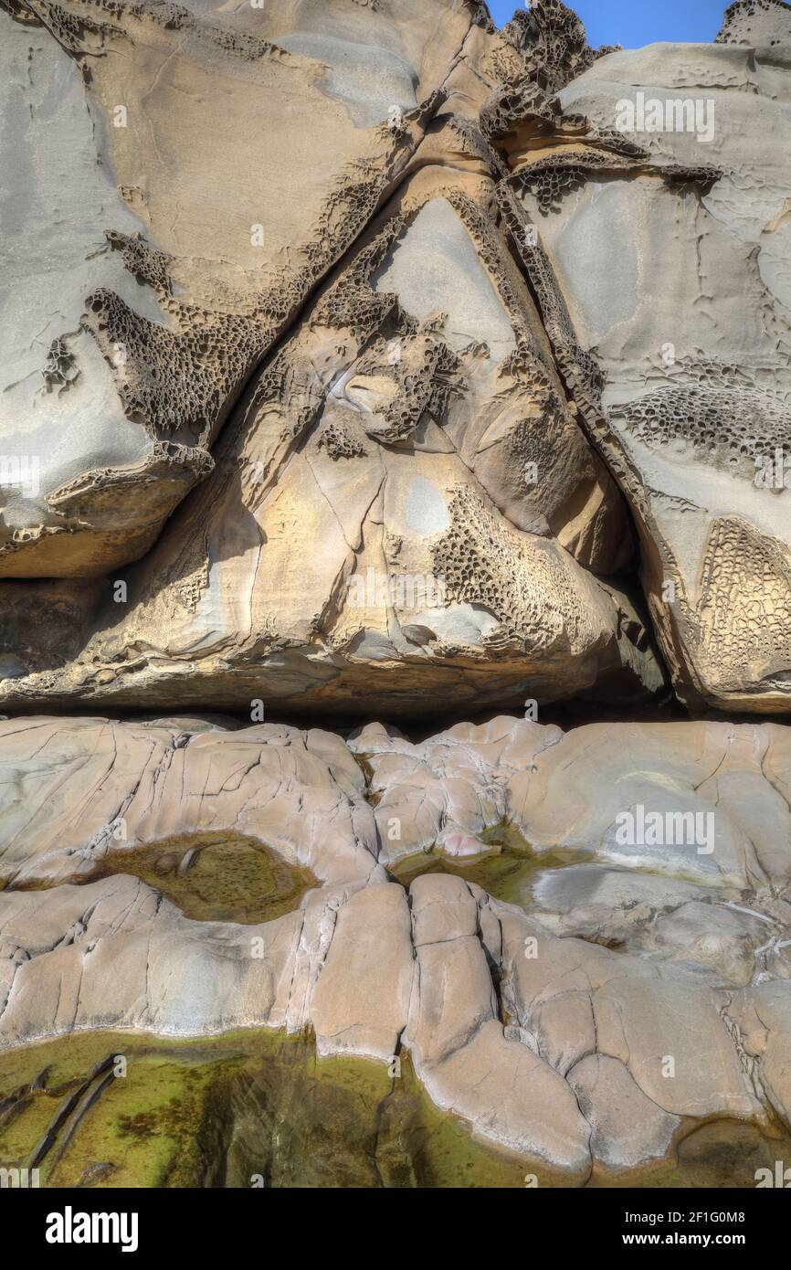 Tafoni formation, Salt Point State Park, Sonoma County, California ...