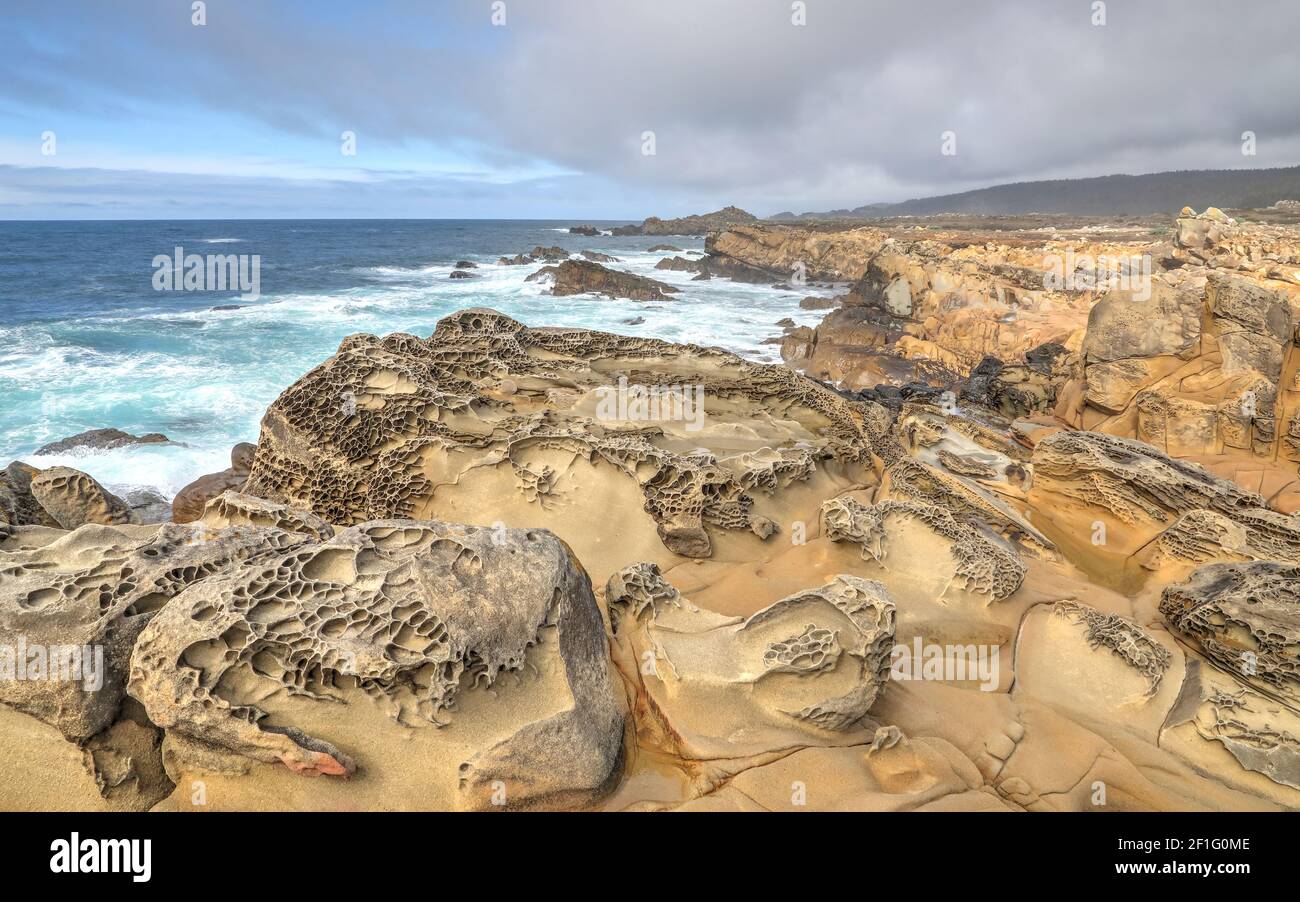 Tafoni formations, Salt Point State Park, Sonoma County, California ...