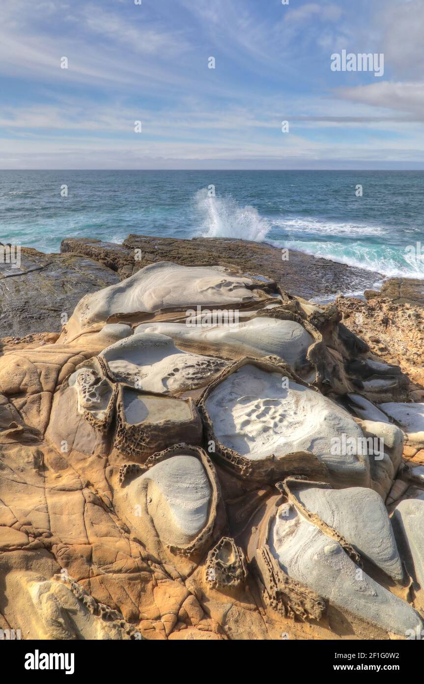 Tafoni with breaking wave, Salt Point State Park, Sonoma County ...