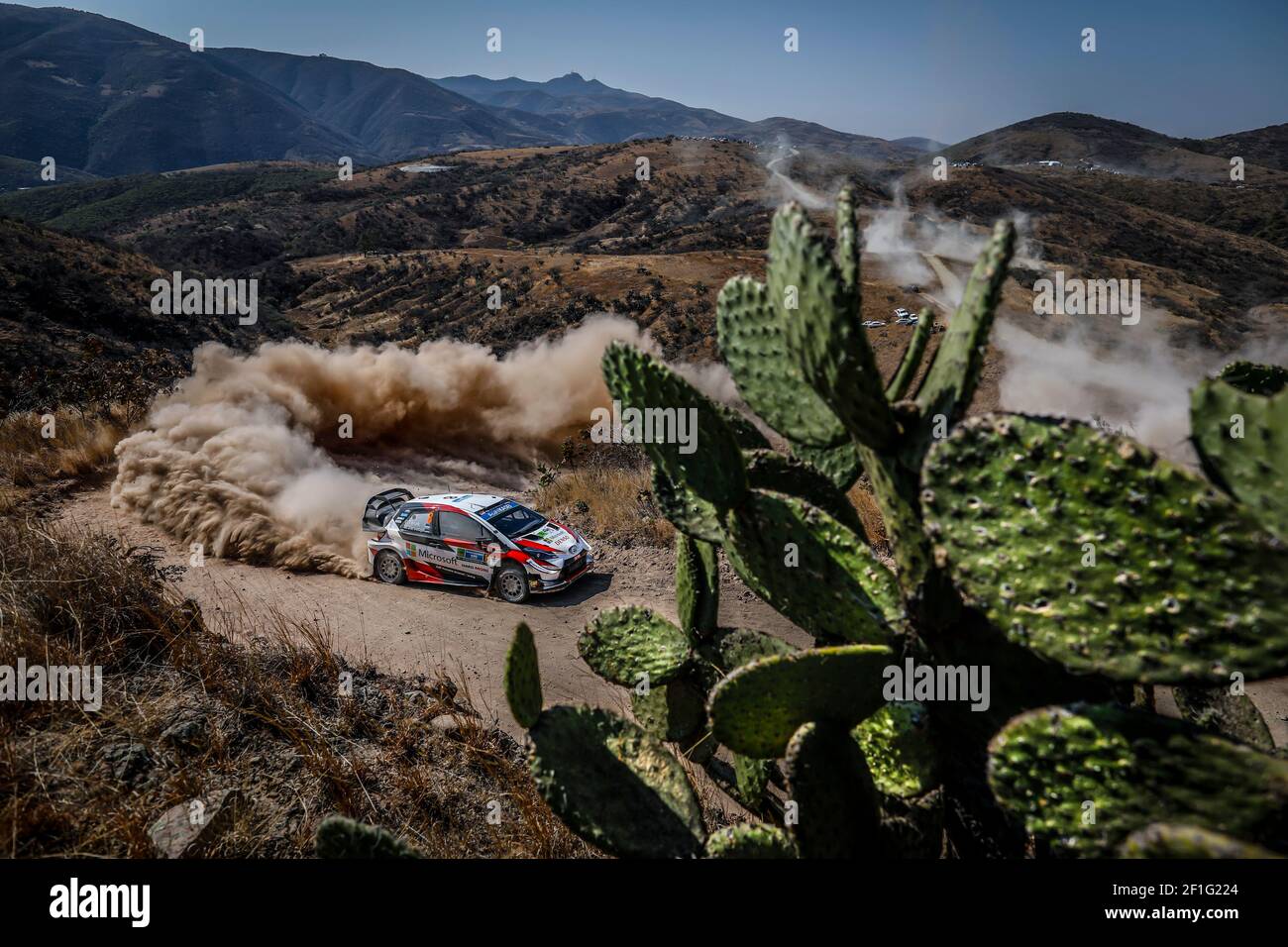 08 TANAK Ott (EST), JARVEOJA Martin (EST), TOYOTA YARIS, TOYOTA GAZOO ...