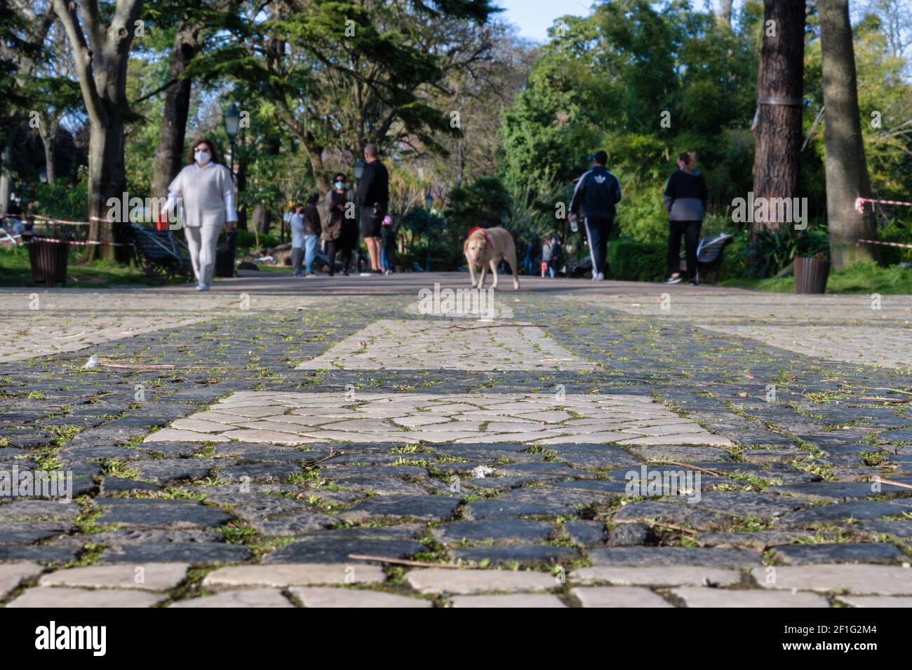 View of Estrela Garden in Lisbon with people walking, and sunlight ...