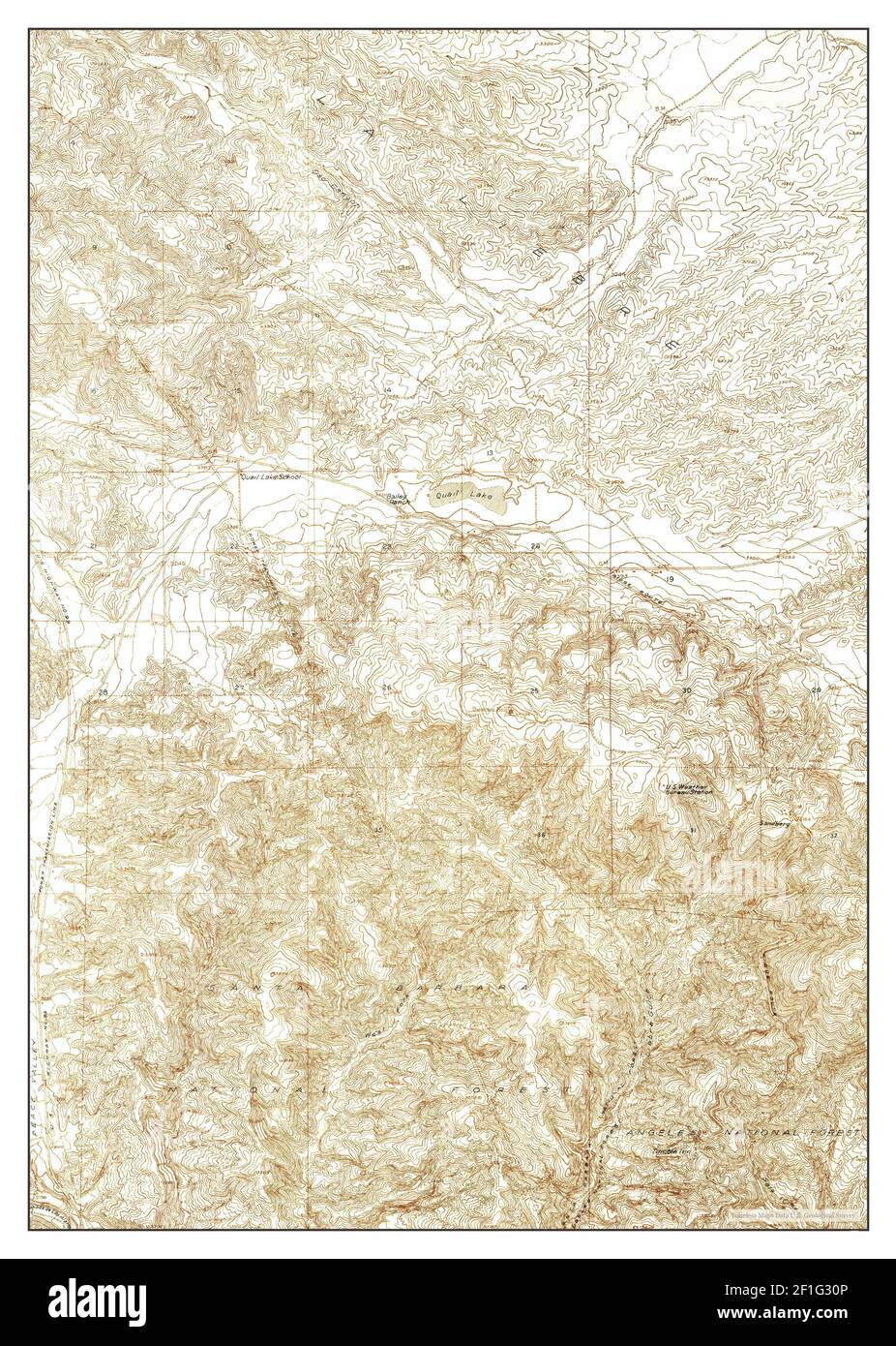 California quail illustration hi-res stock photography and images - Alamy