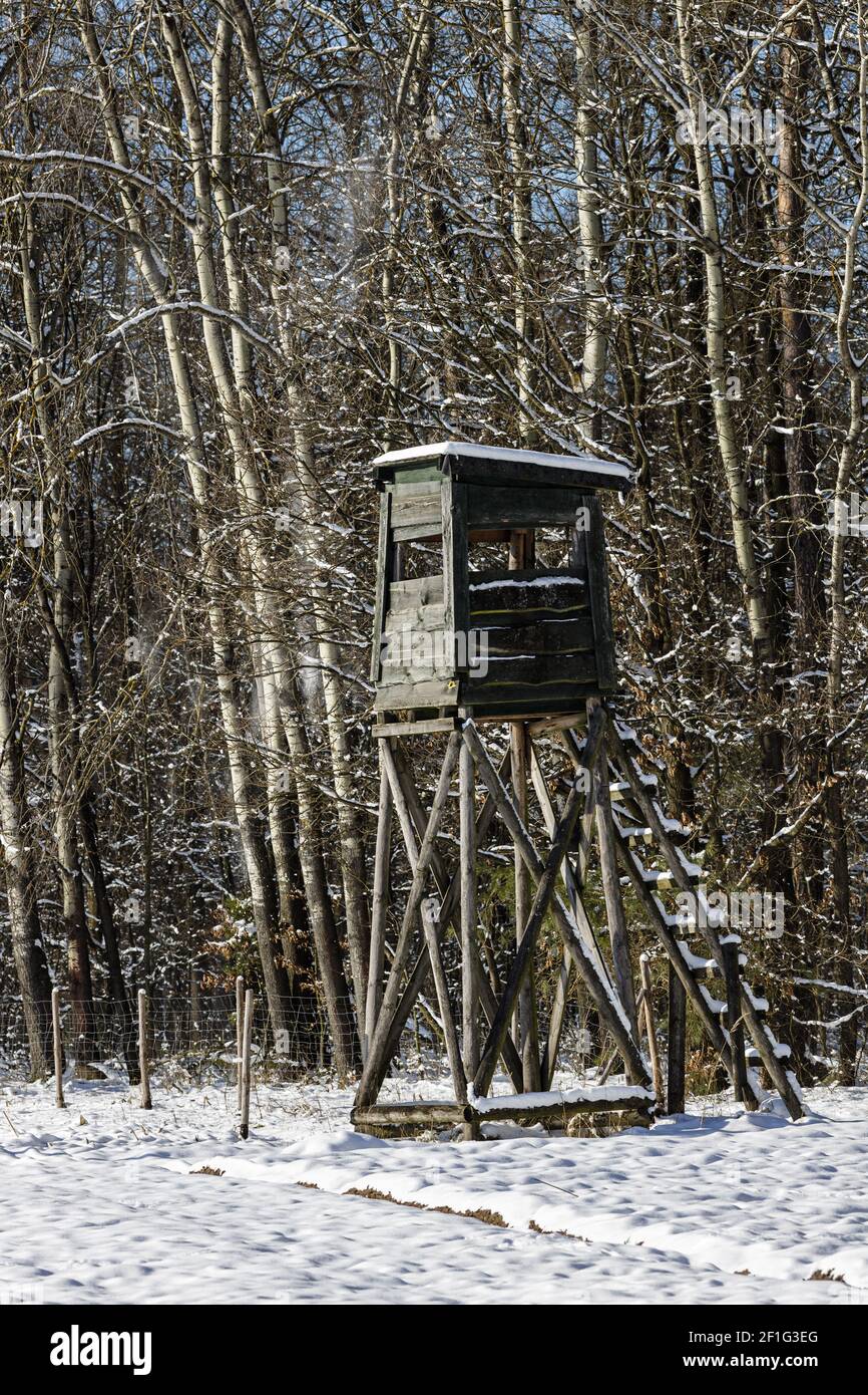 Observation turret on the edge of winter forest Stock Photo - Alamy