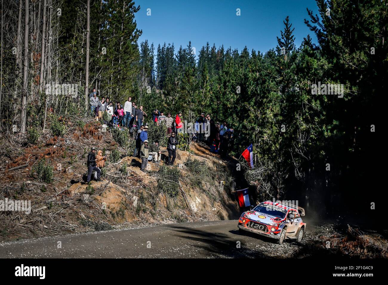 19 LOEB Sebastien (FRA), ELENA Daniel (MCO), HYUNDAI I20, HYUNDAI SHELL ...