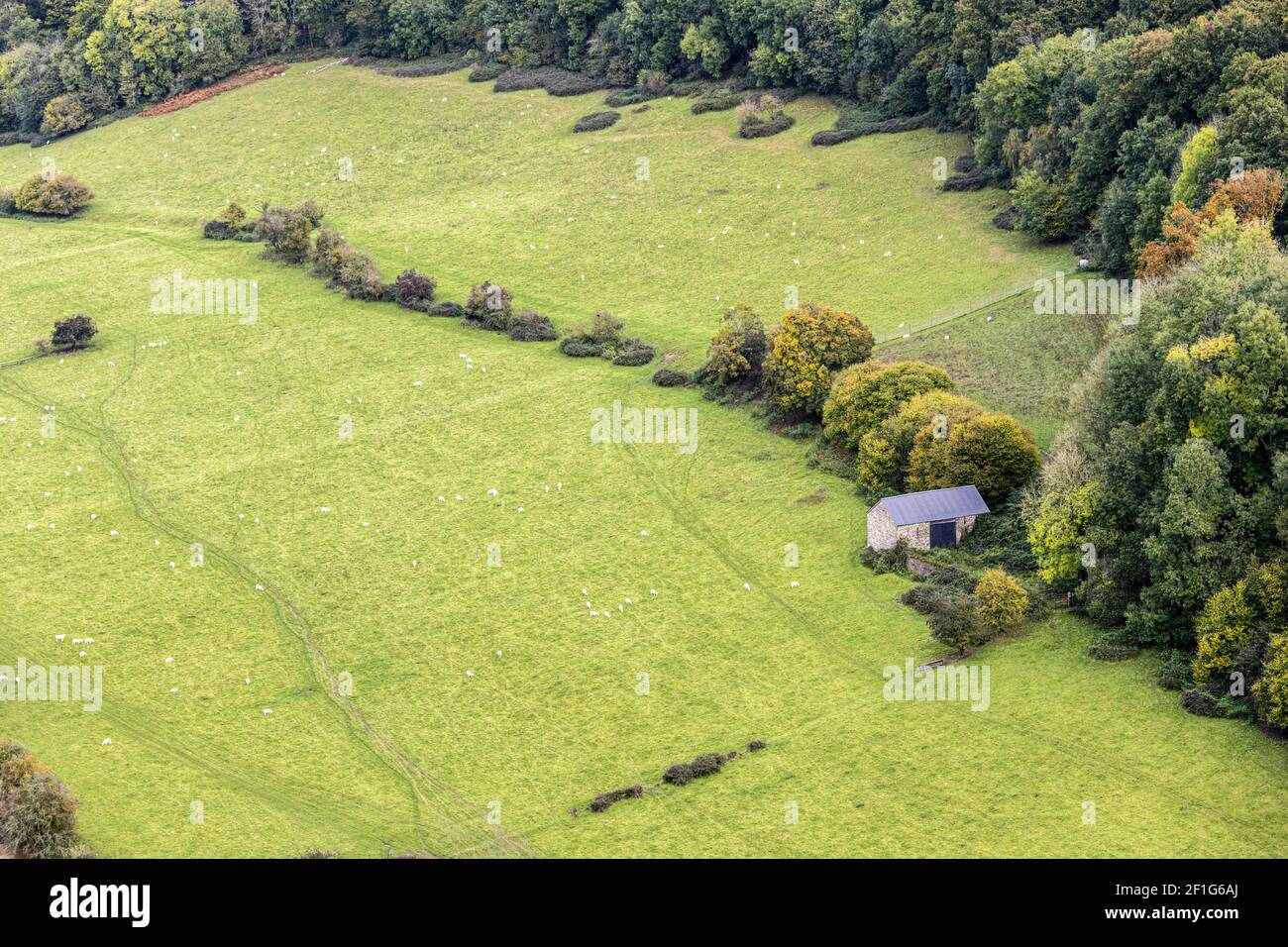 Valley sheep hi-res stock photography and images - Alamy