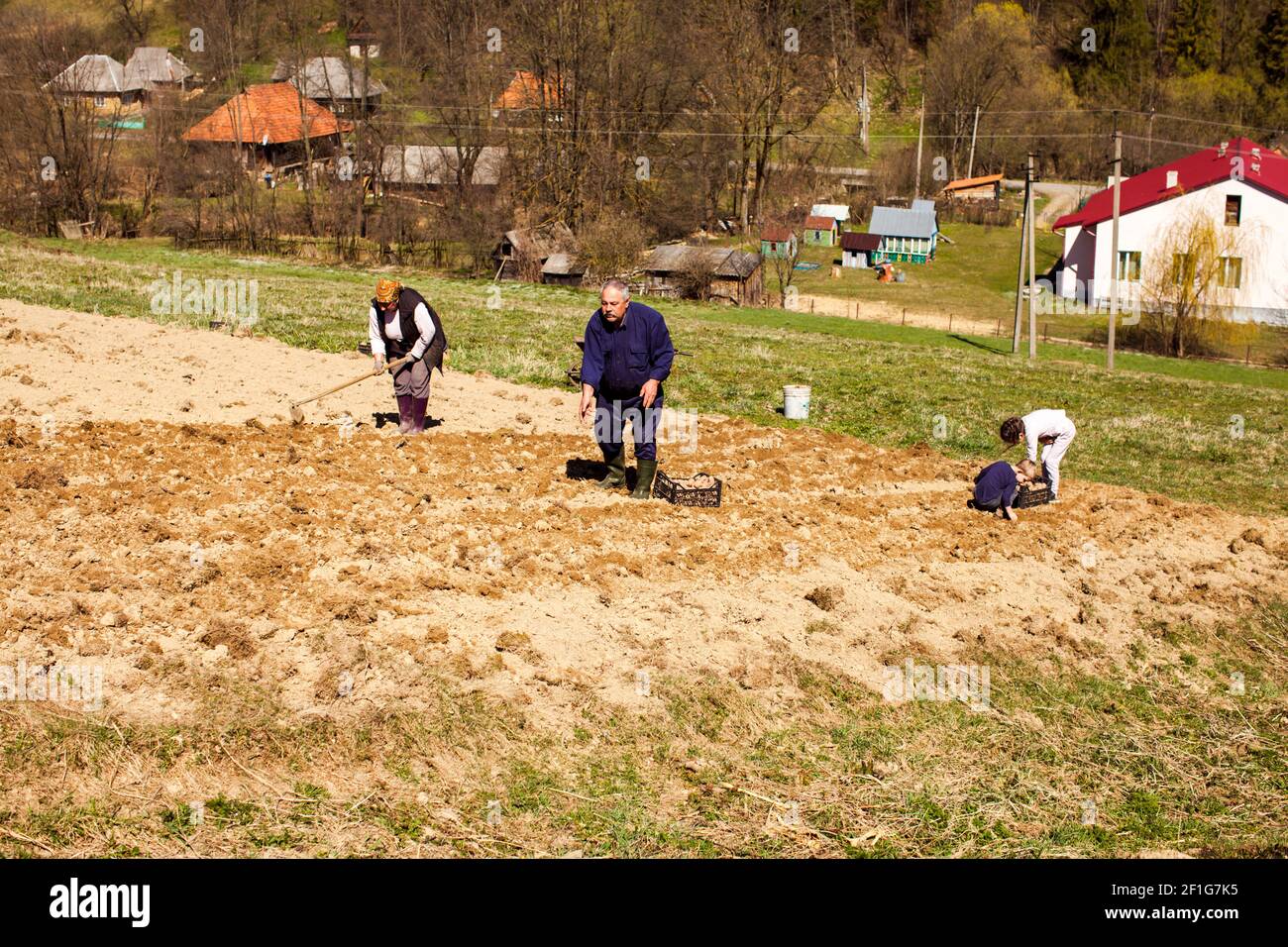 The help of little helpers is priceless Stock Photo - Alamy