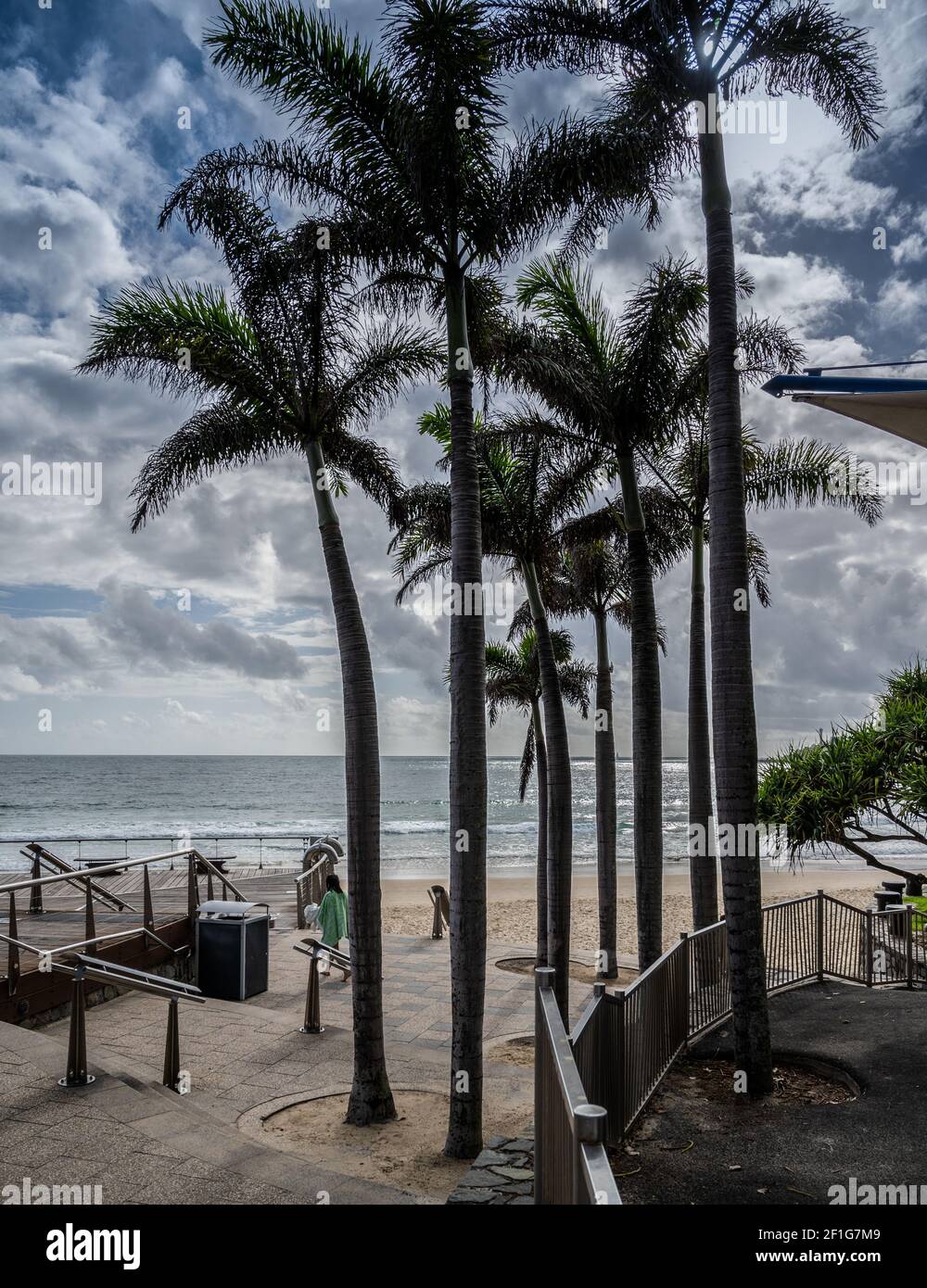 An exotic beach with tall palm trees on background of fluffy clouds in ...