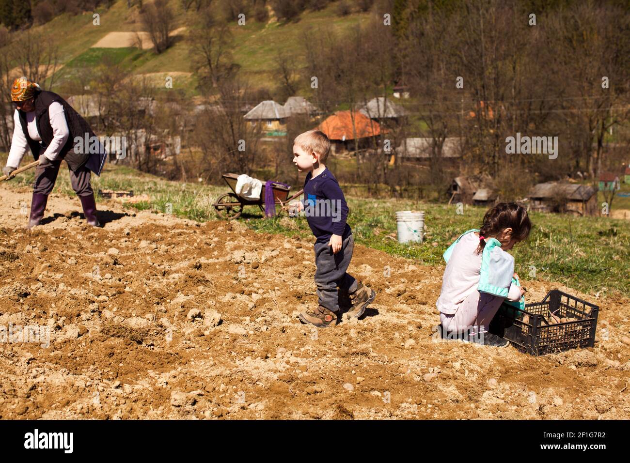 Successful farming is a hard family business Stock Photo - Alamy