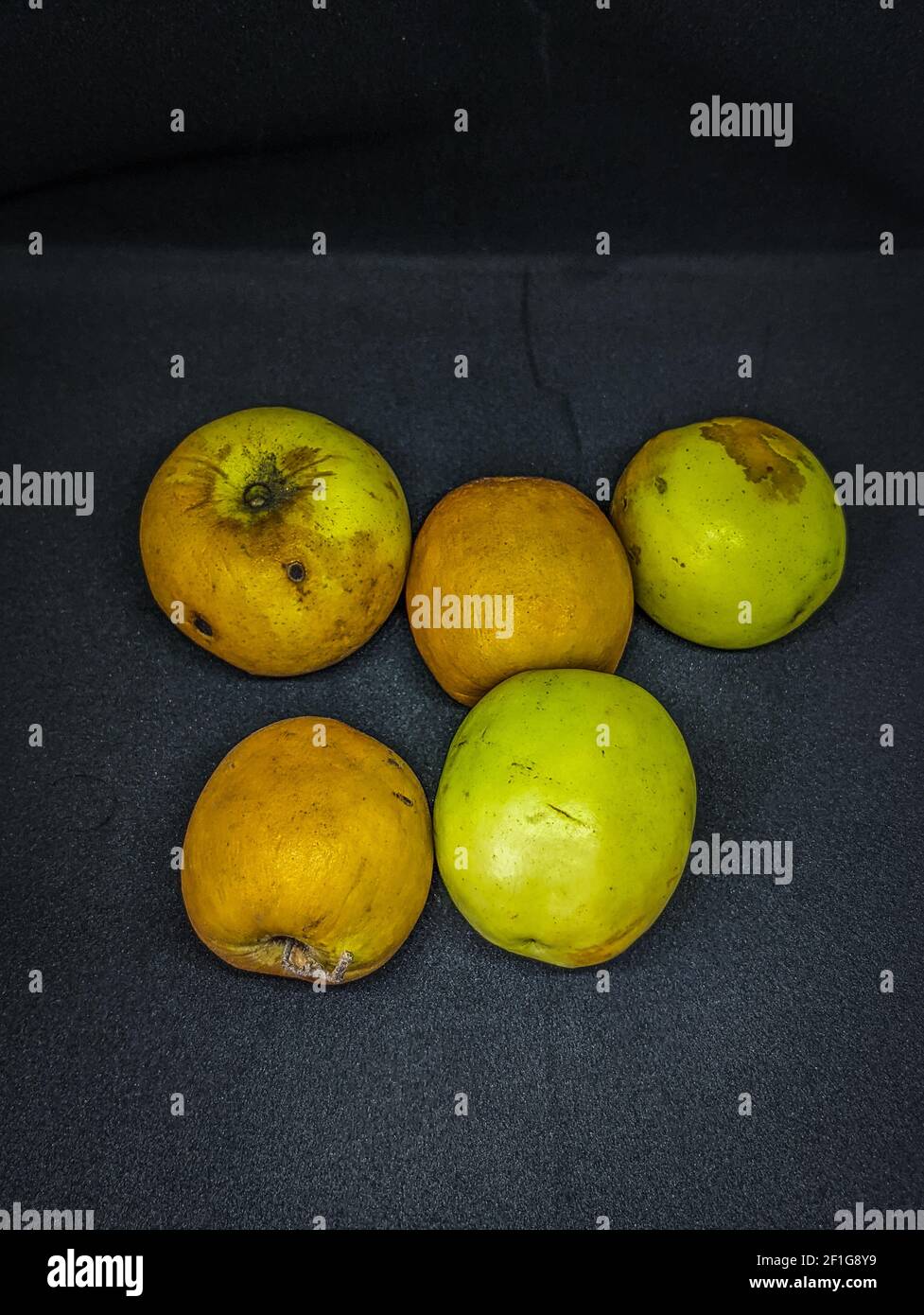 A group of old rotten apples on with damaged wizened skin Stock Photo ...