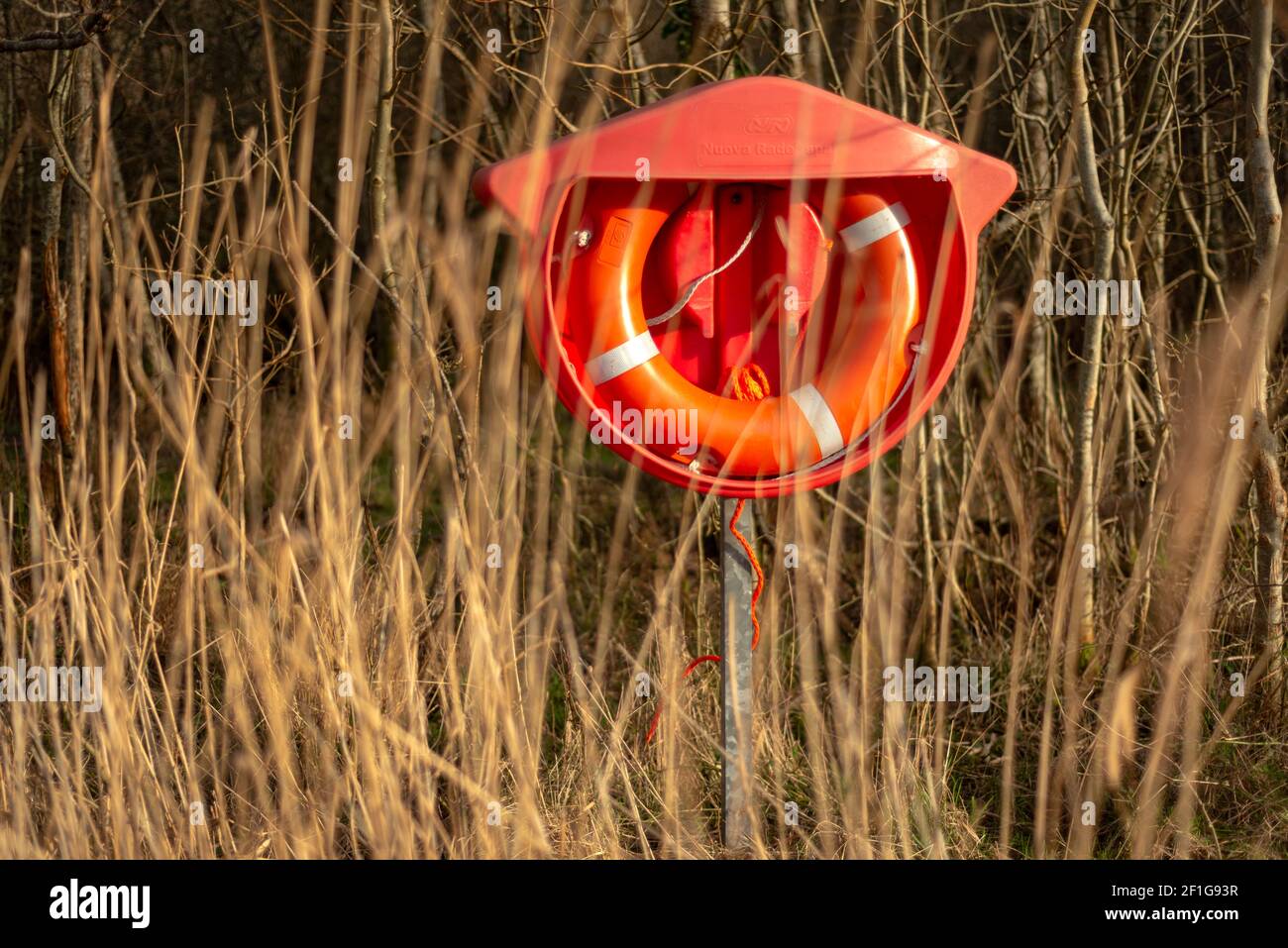 Orange lifebuoy ring seen offshore through yellow grass in Killarney National Park, County Kerry ...