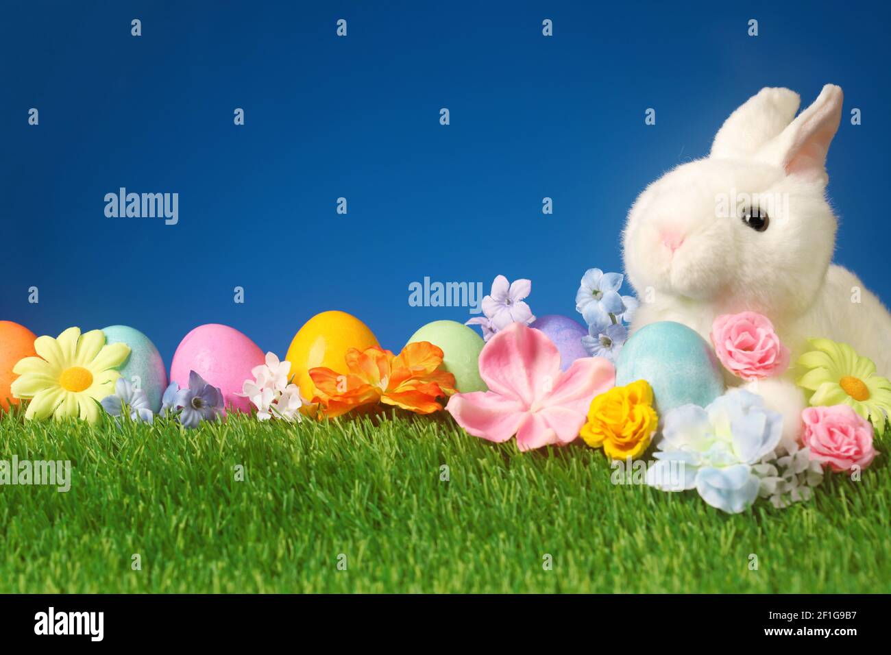 Rabbit flowers hi-res stock photography and images - Alamy